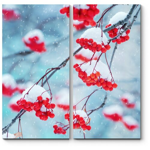 Модульная картина Первый снег укутывает спелые ягоды рябины 100x100