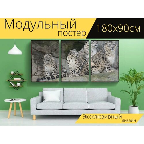 Модульный постер "Зоопарк, животное, снежный барс" 180 x 90 см. для интерьера