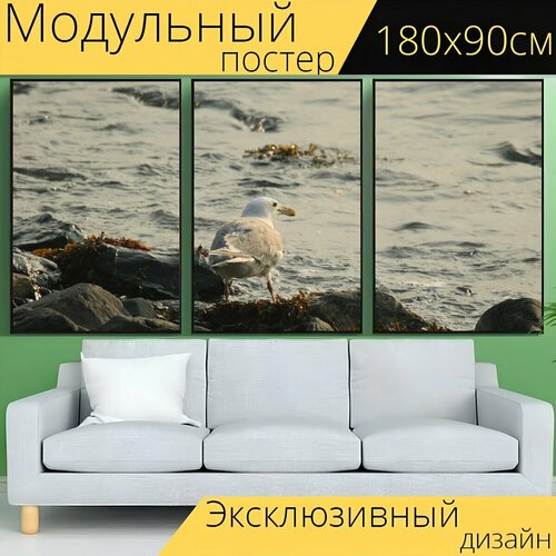 Модульный постер "Чайка, птица, океан" 180 x 90 см. для интерьера