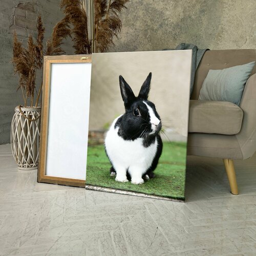 Картина на холсте (кролик белый черный декоративный карликовый европейский) 50x70 см/для интерьера/в комнату/на стену/в подарок