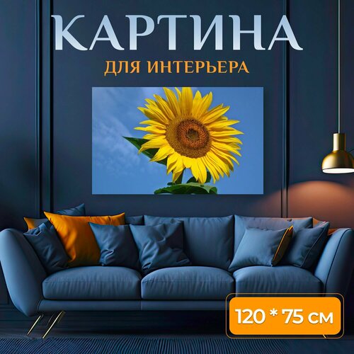Картина на холсте "Подсолнечник, цветок, желтый" на подрамнике 120х75 см. для интерьера