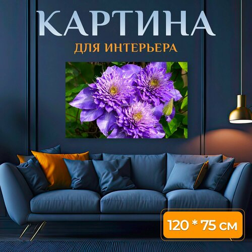 Картина на холсте "Клематис, синий, цветок" на подрамнике 120х75 см. для интерьера