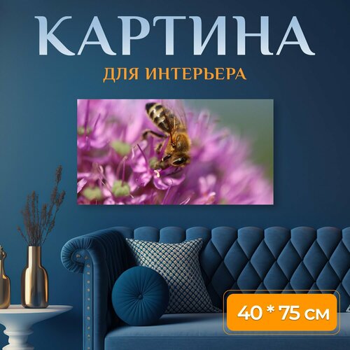 Картина на холсте "Декоративные лук, пчела, насекомое" на подрамнике 75х40 см. для интерьера