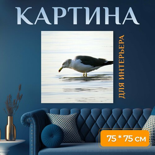 Картина на холсте "Чайка, морская птица, чайка на море" на подрамнике 75х75 см. для интерьера