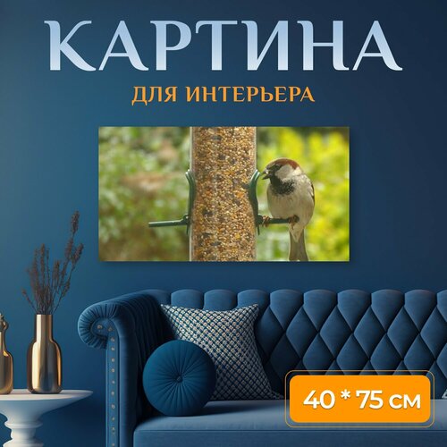 Картина на холсте "Воробей, птица, фауна" на подрамнике 75х40 см. для интерьера