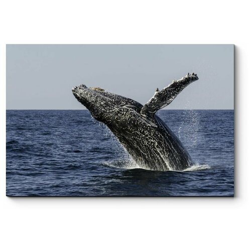 Модульная картина Прыжок кита 60x40