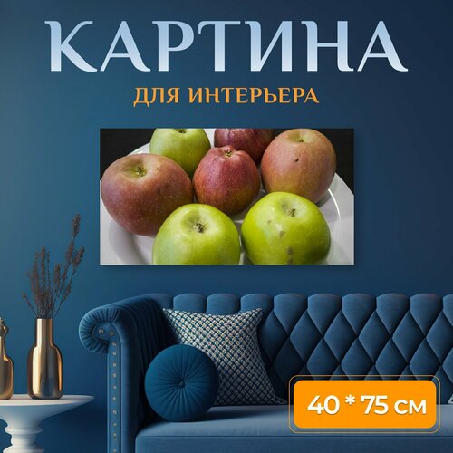 Картина на холсте "Яблоко, фрукты, здоровый" на подрамнике 75х40 см. для интерьера