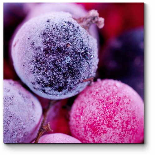 Модульная картина Зимние ягоды 40x40