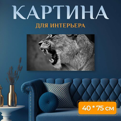 Картина на холсте "Львица, хищник, большой кот" на подрамнике 75х40 см. для интерьера