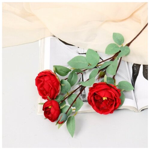 Цветы искусственные "Роза пионовидная галант" 7х61 см, красный 9222752