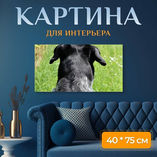Картина на холсте "Собака, голова, чернить" на подрамнике 75х40 см. для интерьера