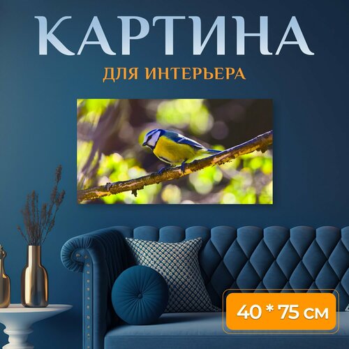 Картина на холсте "Птица, природа, синица" на подрамнике 75х40 см. для интерьера