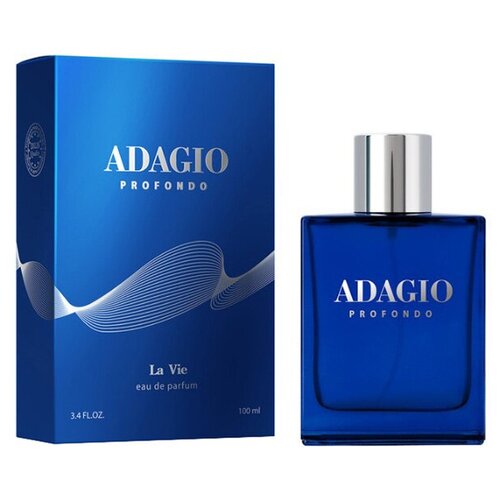DILIS "Adagio Profondo" парфюмерная вода мужская 100 мл