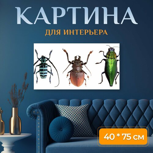 Картина на холсте "Жуки, насекомые, природа" на подрамнике 75х40 см. для интерьера