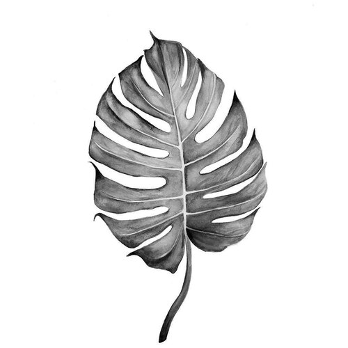 Интерьерный постер "Split Leaf" размера 60х90 см 600*900 мм репродукция без рамы в тубусе для декора комнаты офиса дома