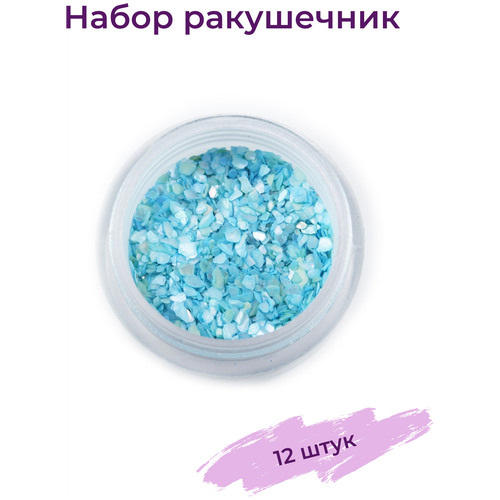 Набор ракушечник, 12 шт, цвет голубой