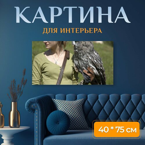Картина на холсте "Сова, горбыльщик, птицелов" на подрамнике 75х40 см. для интерьера