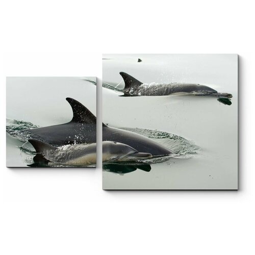 Модульная картина Счастливая семья дельфинов180x108