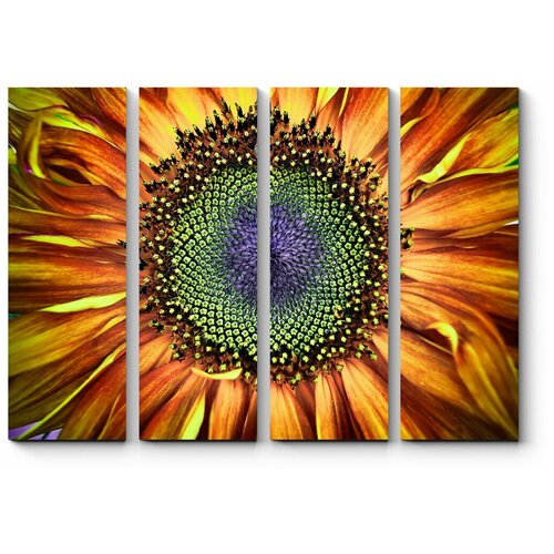 Модульная картина Внутри цветка солнца 100x75