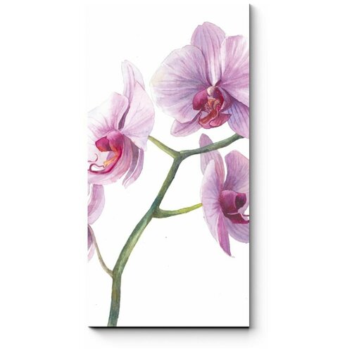 Модульная картина Ветка чудесной орхидеи 30x60