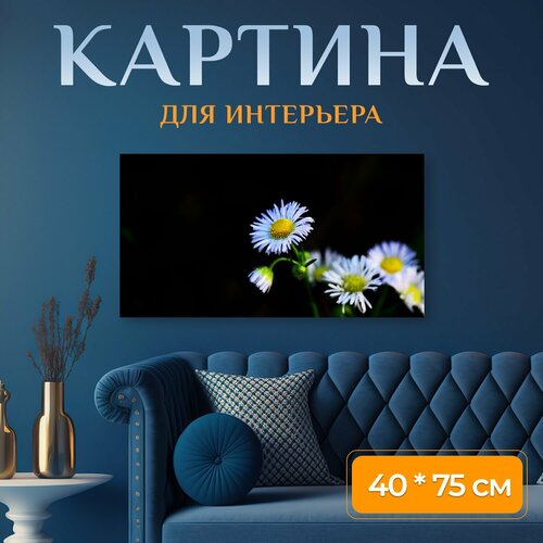 Картина на холсте "Маргаритка, цветы, завод" на подрамнике 75х40 см. для интерьера