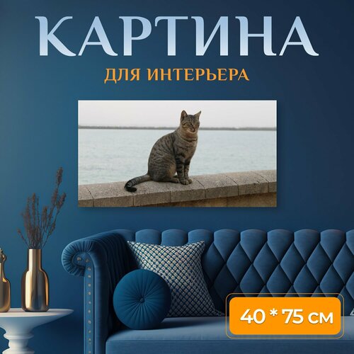 Картина на холсте "Кошка, полосатый, залив" на подрамнике 75х40 см. для интерьера