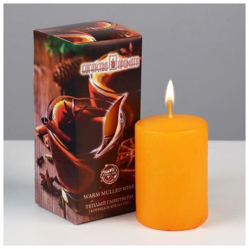 Свеча ароматическая "Тёплый глинтвейн", 4×6 см, в коробке 5264910