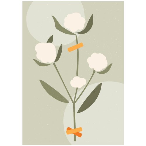 Постер / Плакат / Картина Цветы и растения - Белые цветы 50х70 см в раме