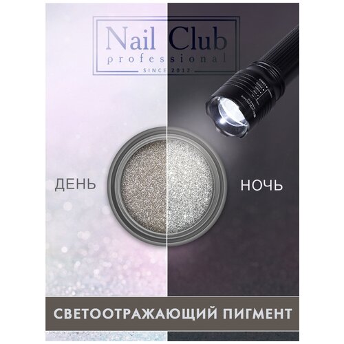 Nail Club professional Светоотражающий пигмент для ногтей Reflex Ice, 1 шт.