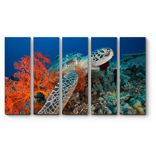 Модульная картина Морская черепаха в кораллах120x72