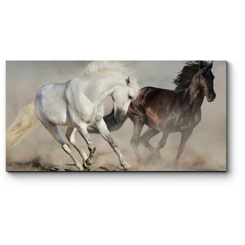 Модульная картина Красивая пара лошадей 190x95