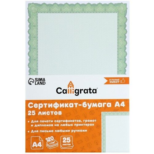 Сертификат-бумага А4, 25 листов Calligrata "Зеленый орнамент", 120 г/м2 (1шт.)