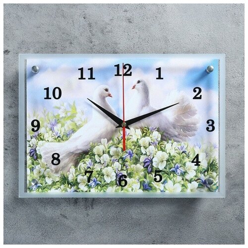 Часы настенные, серия: Животный мир, "Пара голубей" 25х35 см