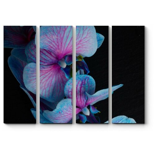 Модульная картина Голубая орхидея60x45