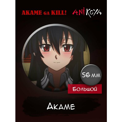 Значки на рюкзак Убийца Акамэ аниме
