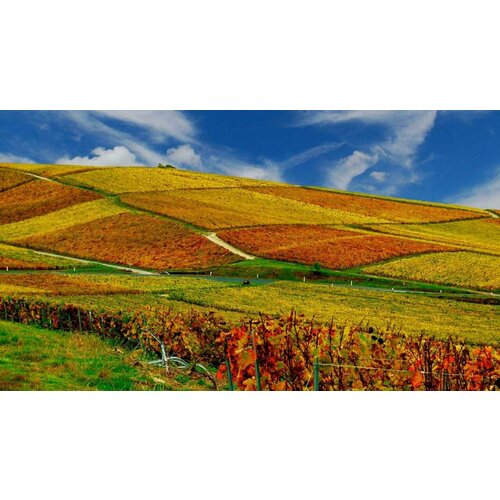 Картина на холсте 60x110 LinxOne "Осеннее поле" интерьерная для дома / на стену / на кухню / с подрамником