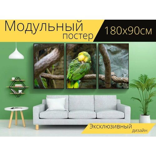 Модульный постер "Амазонка, попугай, джунгли" 180 x 90 см. для интерьера