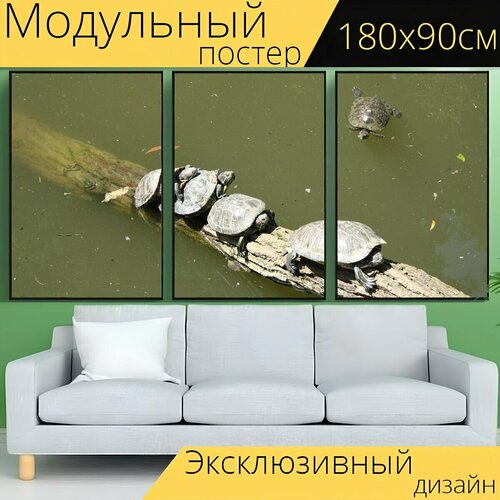 Модульный постер "Водные черепахи, водных черепах, животное" 180 x 90 см. для интерьера