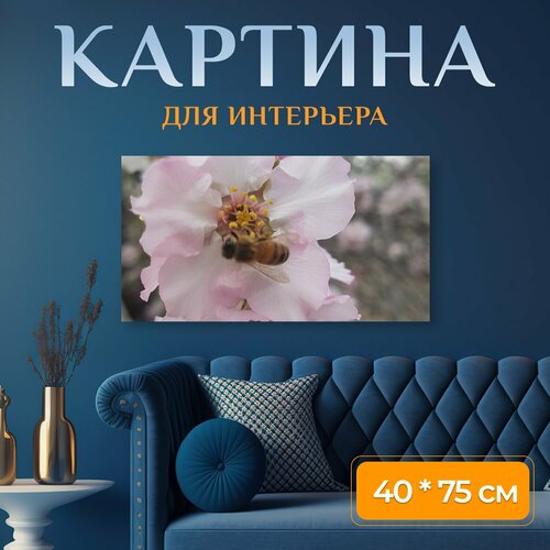Картина на холсте "Пчела, цветок, весна" на подрамнике 75х40 см. для интерьера