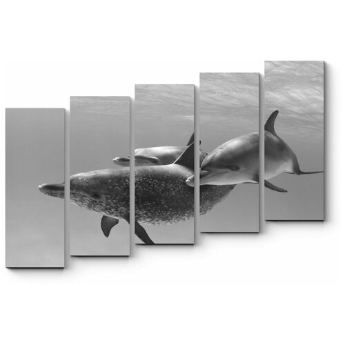 Модульная картина Трио пятнистых дельфинов 150x105