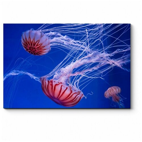 Модульная картина Чудесные медузы 70x47