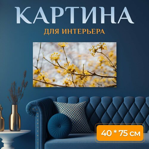 Картина на холсте "Цветок, весна, желтый" на подрамнике 75х40 см. для интерьера