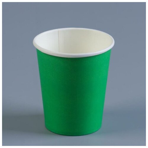 Стакан бумажный "Зелёный" для горячих напитков, 250 мл 5090174
