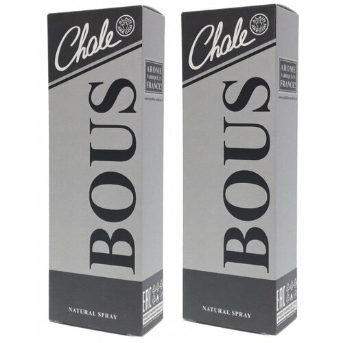 Дезодорант мужской Chale Boys, парфюмированный, 100 мл, 2 шт