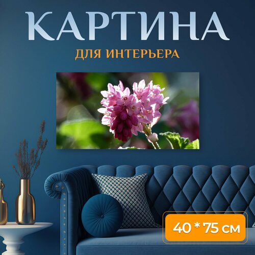 Картина на холсте "Смородина, цветок, природа" на подрамнике 75х40 см. для интерьера