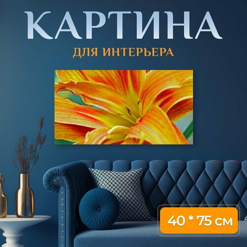 Картина на холсте "Цветок, жёлтый, желтый цветок" на подрамнике 75х40 см. для интерьера