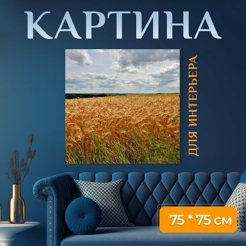 Картина на холсте "Ячмень, урожай, облака" на подрамнике 75х75 см. для интерьера
