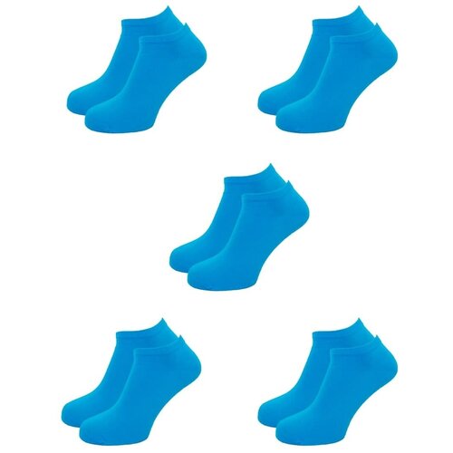Носки LorenzLine, 5 пар, размер 41/42, голубой