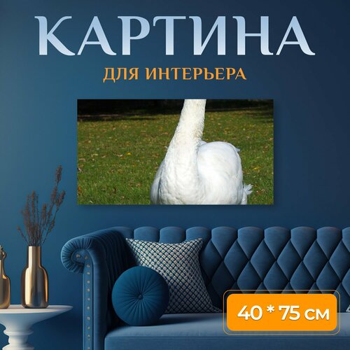 Картина на холсте "Лебедь, животное, водоплавающая птица" на подрамнике 75х40 см. для интерьера