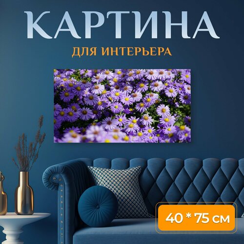 Картина на холсте "Сад, цветы, астры" на подрамнике 75х40 см. для интерьера